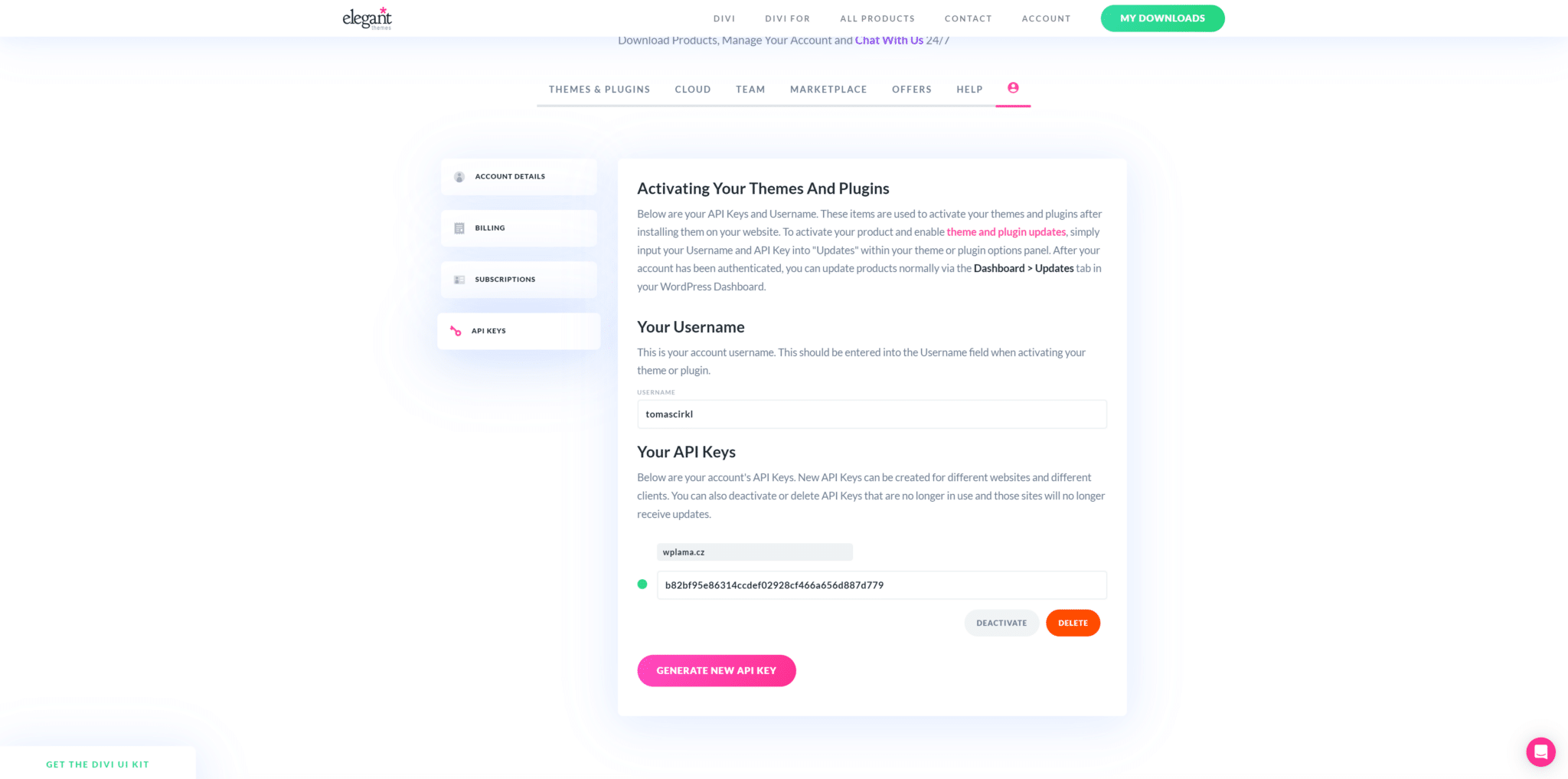 Návod jak koupit, nainstalovat a importovat Divi šablonu